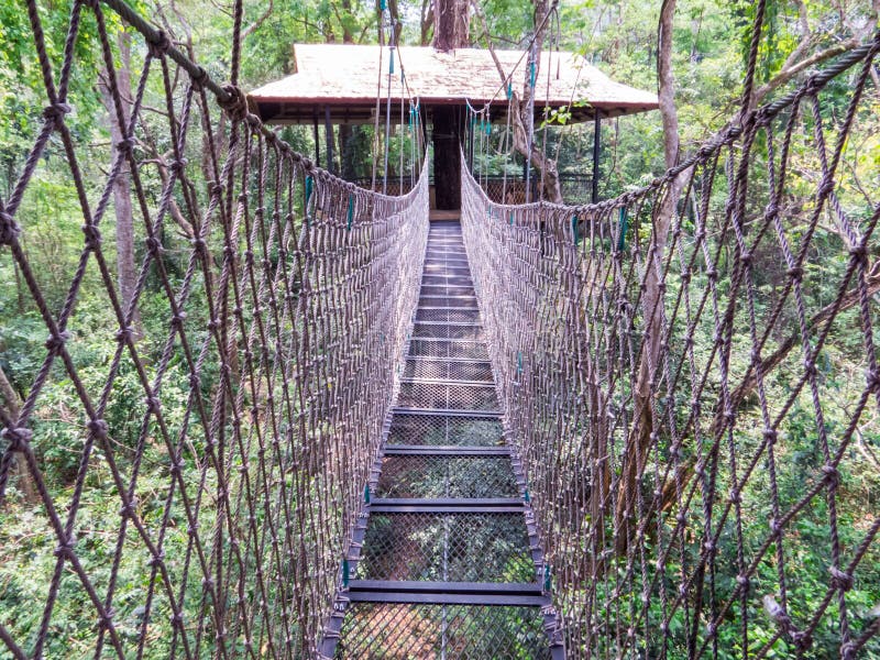 Tree House, Luang Prabang, Laos Stock Image - Image of house, tropic ...