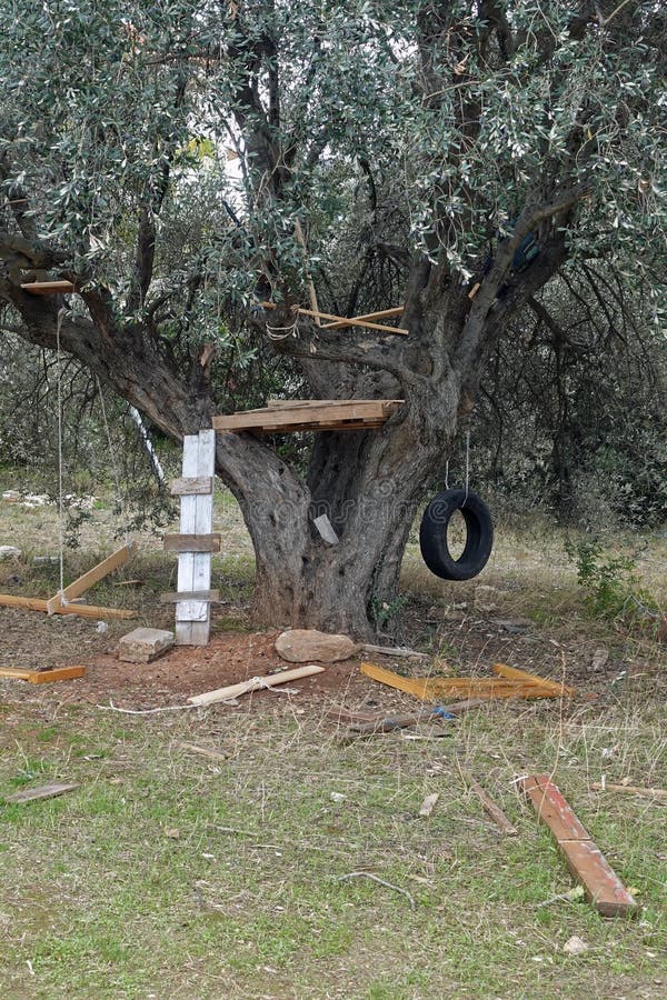 Tree House with Makeshift Ladder and Swings Stock Image - Image of ...