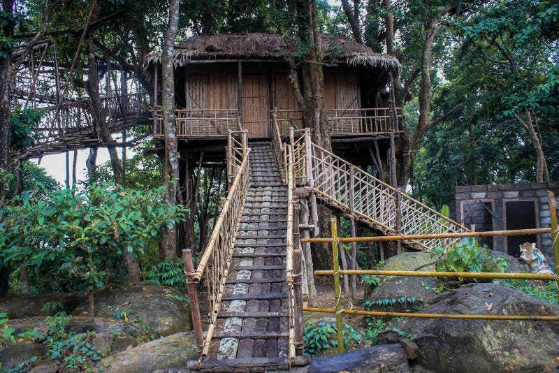 Tree house in Mawlynnong editorial image. Image of mawlynn - 225782855