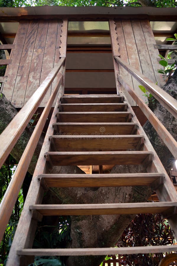 Tree House stock photo. Image of construction, stairs - 65743700