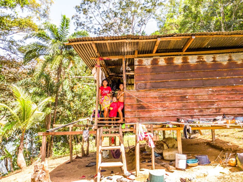 Tree house editorial image. Image of family, panama - 118747405