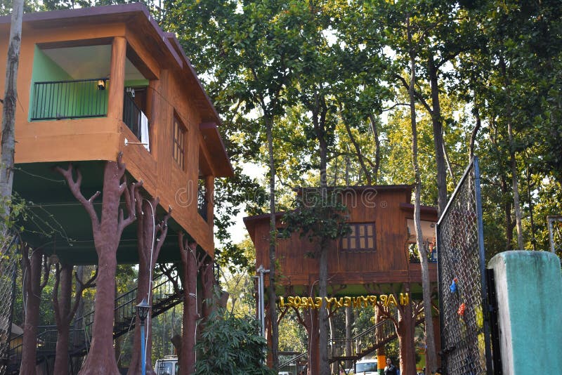 Tree Houses between a Deep Forest with Green Surroundings Stock Photo ...