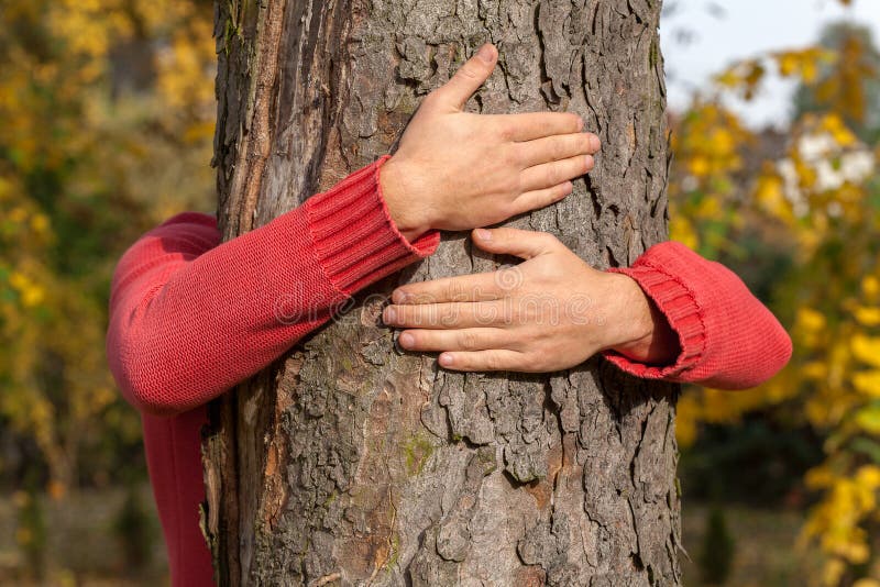 Tree hug stock image. Image of clean, borrow, emotions - 43882663