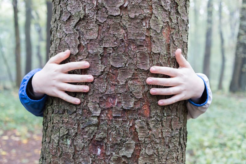 Tree_hug stock photo. Image of environmentalist, nature - 169882276