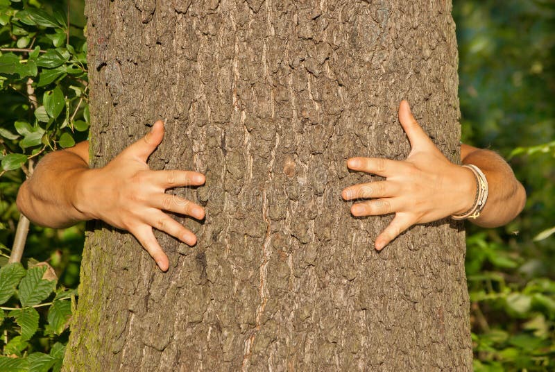 Tree Hugger Environmentalist Stock Photo - Image of natural ...