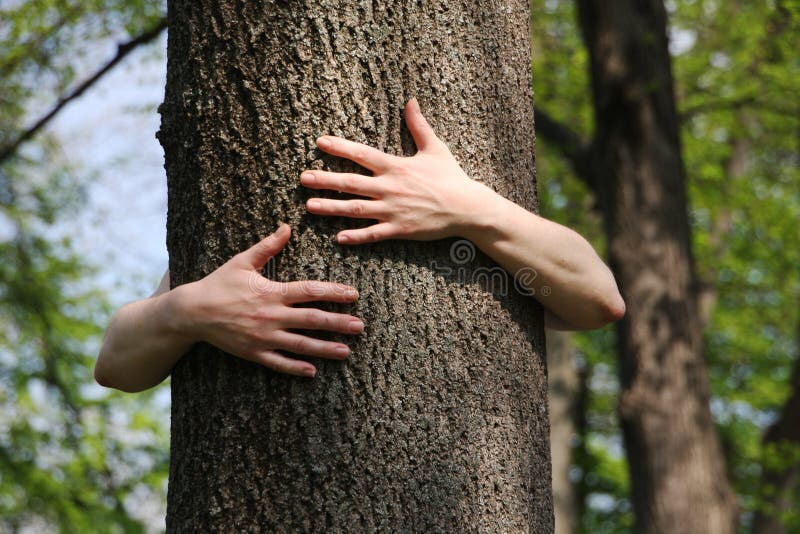 Tree hugger stock image. Image of female, floral, blond - 31514385