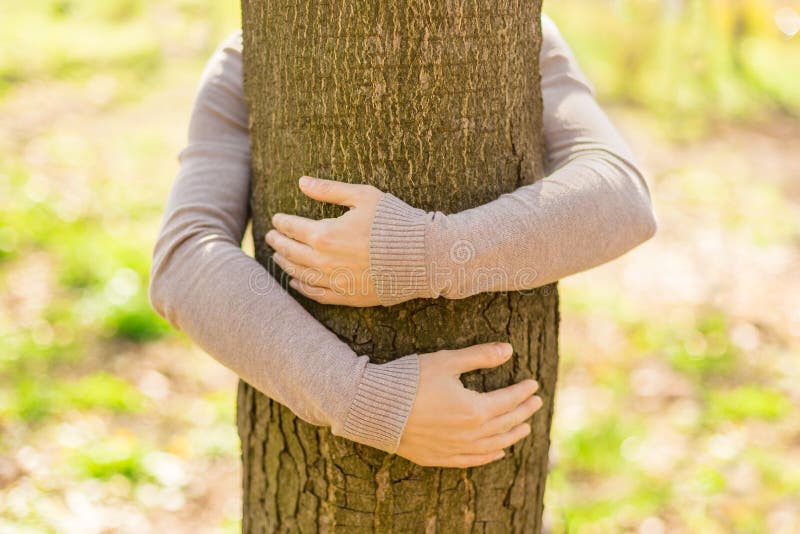 Tree Hugging Pretty Girls Stock Image Image Of Blonde 24150805