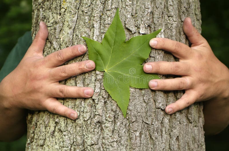 Tree Hugging Environmentalist Stock Image - Image of hold, concepts ...