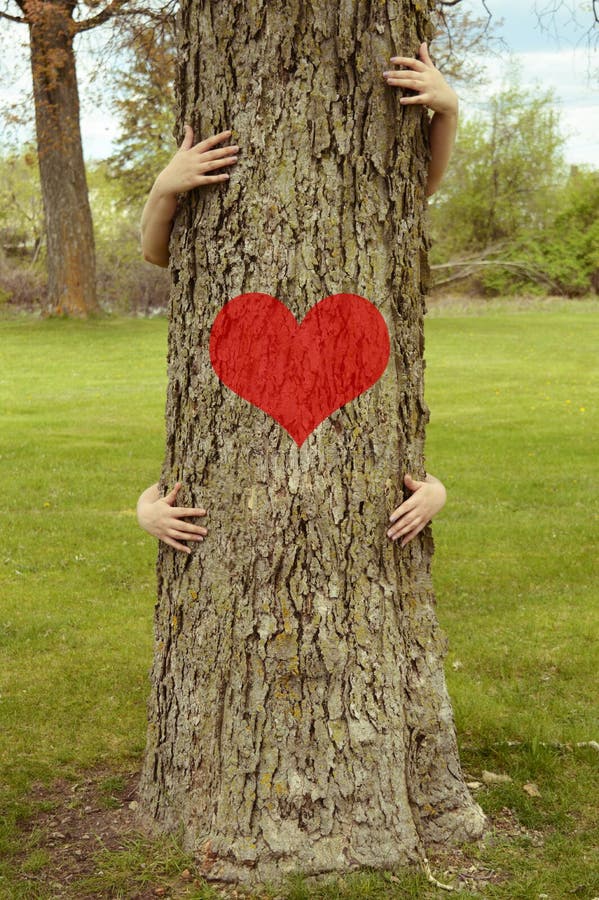 Tree Hugging Environmentalist Stock Photo - Image of hand, conservation ...