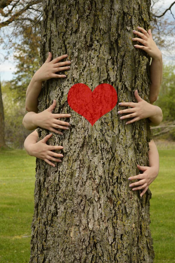 Tree Hugging Environmentalist Stock Photo - Image of hand, conservation ...