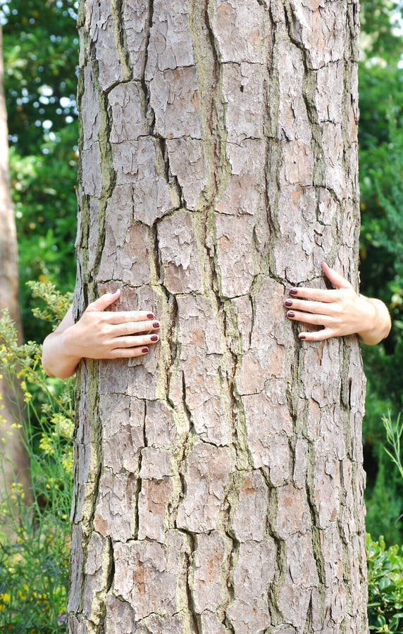 Tree Hugger Environmentalist, Hug Save Environment Stock Photo - Image ...