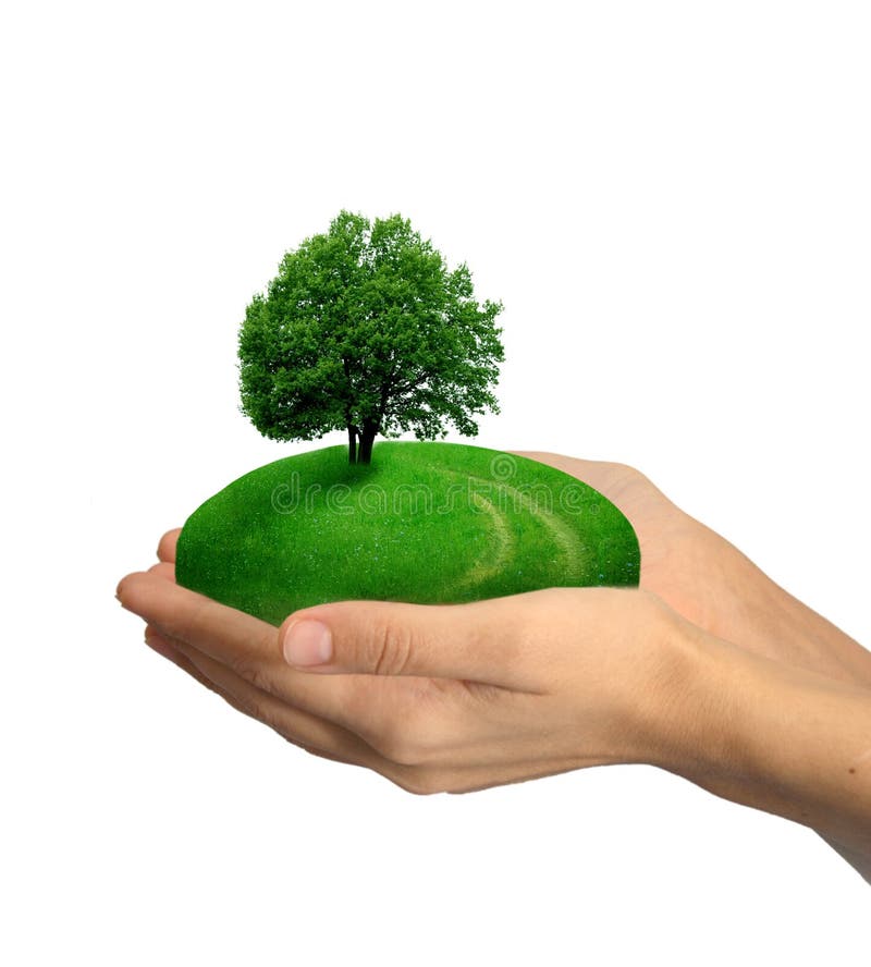 Tree in human hands stock image. Image of concept, gardening - 21939787