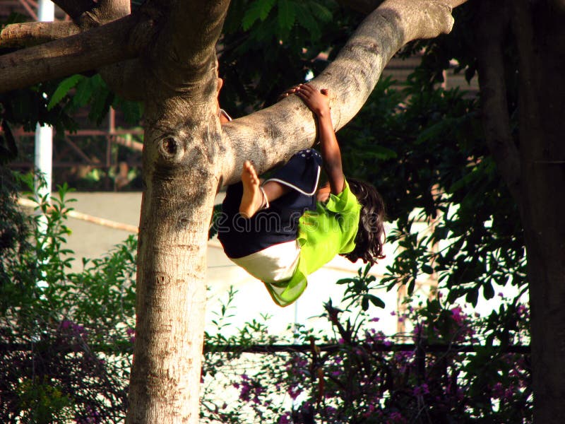 Girls Hanging Tree Branch Stock Photos - Free & Royalty-Free Stock ...