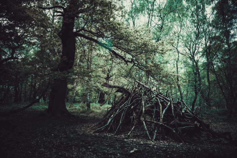 Tree Hut stock image. Image of pine, moss, foliage, nature - 142952385