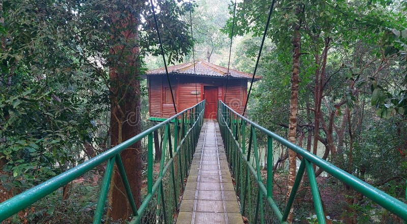 Tree huts in a jungle park stock photo. Image of summer - 359957808