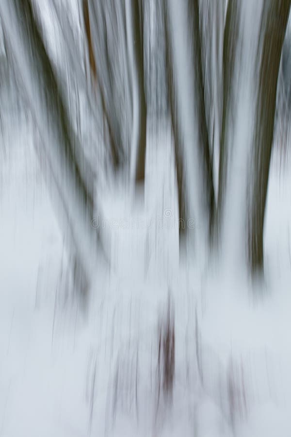 Tree ICM. stock image. Image of background, wallpaper - 345393183