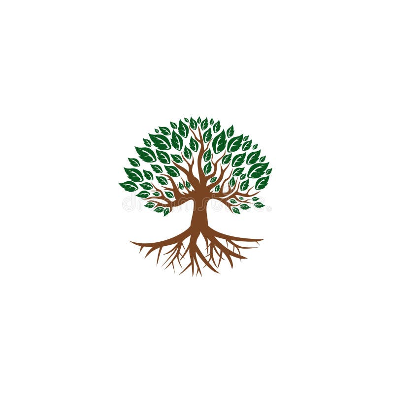 Tree Icon Concept. Tree Root Design Illustration Isolated on White ...