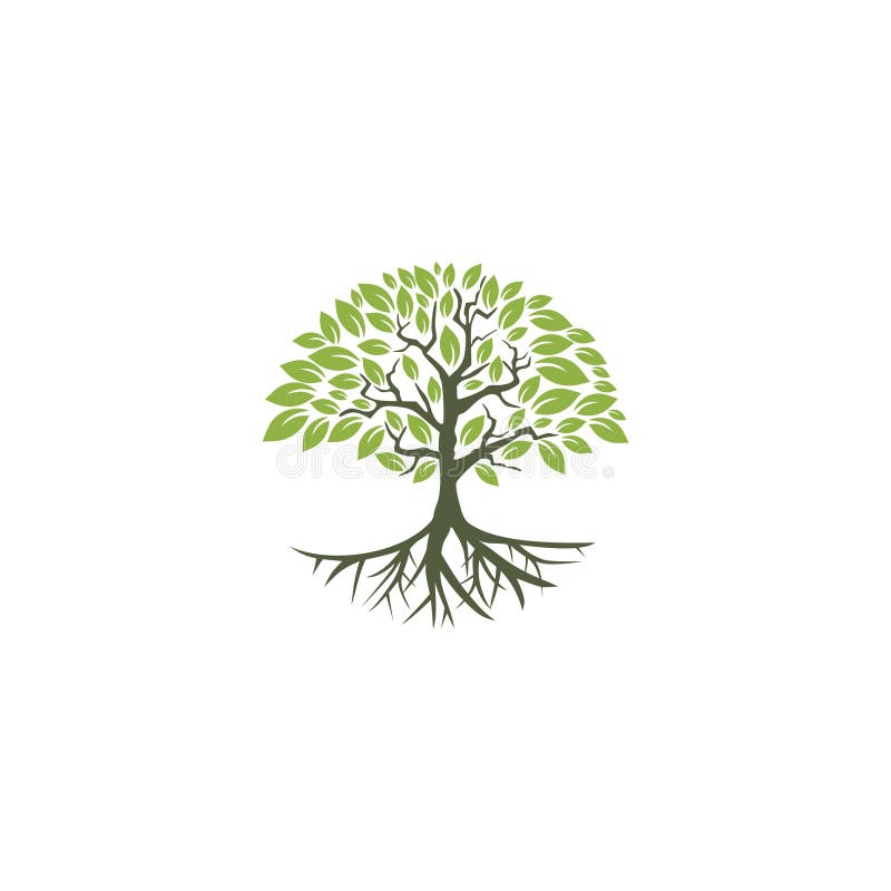 Tree Icon Concept. Tree Root Design Illustration Isolated on White ...