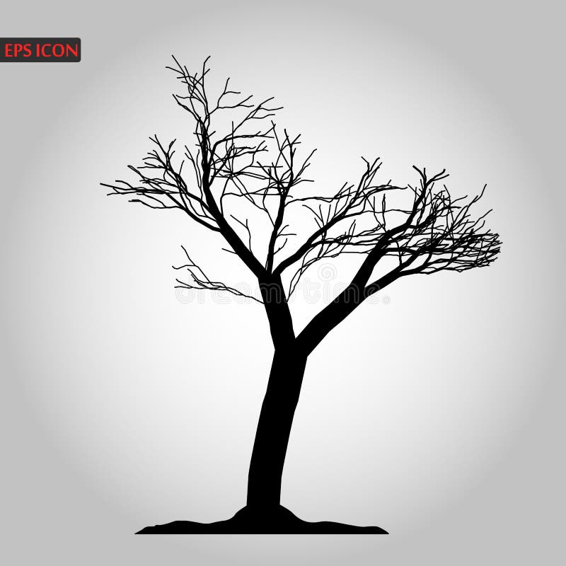 Tree Icon. Forest Symbol. Flat Web Sign on White Background. Vector ...