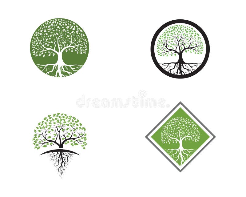 Tree with Leaf and Root. Set of Trees. Vector. Stock Vector ...