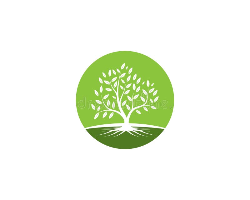 Tree Icon Logo Vector Concept of a Stylized Stock Vector - Illustration ...
