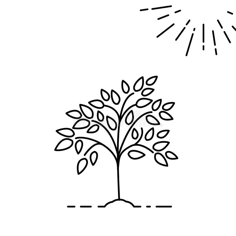 Outline of the Tree is Black with the Sun. Vector Illustration with ...
