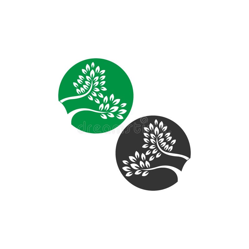 Tree Icon Tree Branch Design Vector Illustration Stock Vector ...