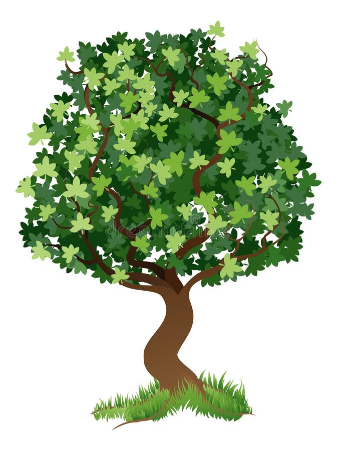 Vector oak tree stock vector. Illustration of apple, landscape - 23778533
