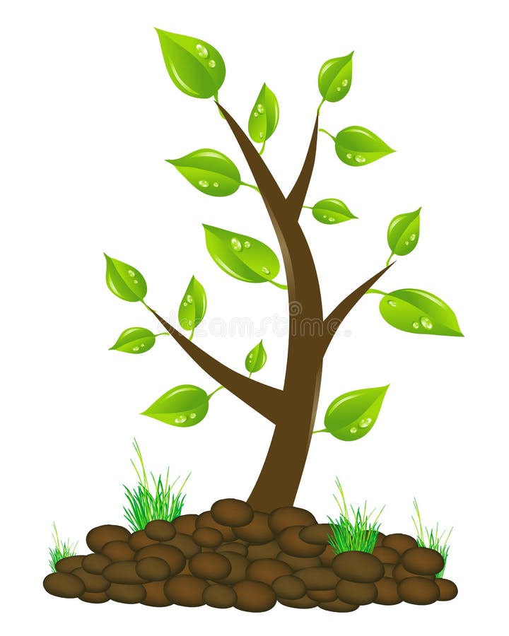 Tree design stock vector. Illustration of decoration - 20374418