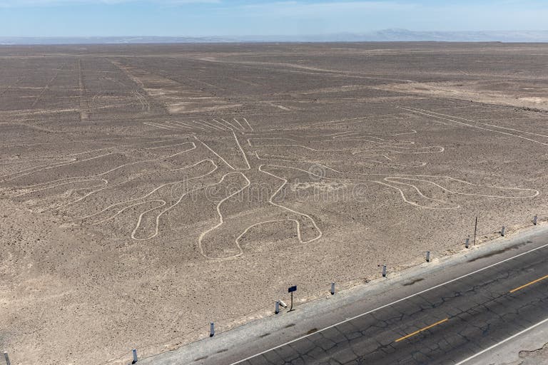 The Tree Image of Nazca Lines, Pe Stock Photo - Image of natural, line ...