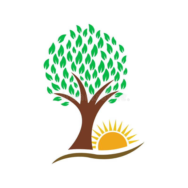 Tree Image, Sunrise, Vector Illustration Stock Vector - Illustration of ...