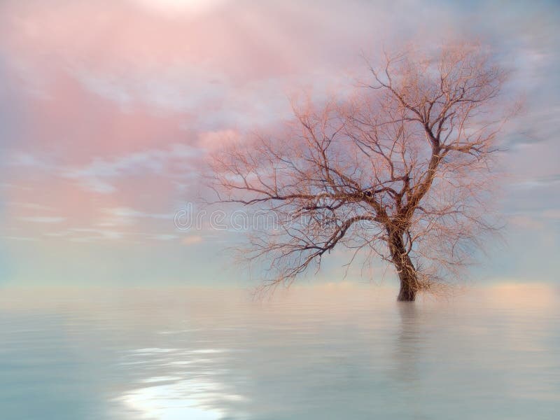 The tree in infinite stock image. Image of tree, summer - 26128769