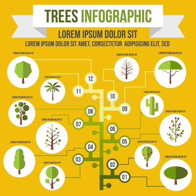 Tree Infographic, Flat Style Stock Illustration - Illustration of flat ...
