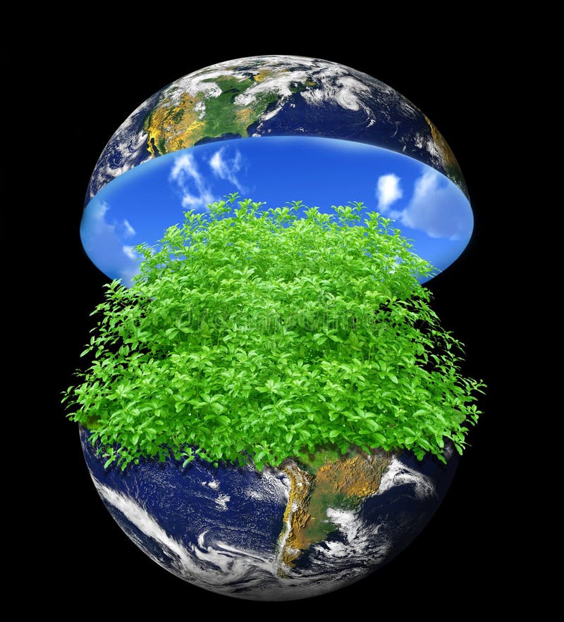 Tree inside earth stock illustration. Illustration of nature - 16886504