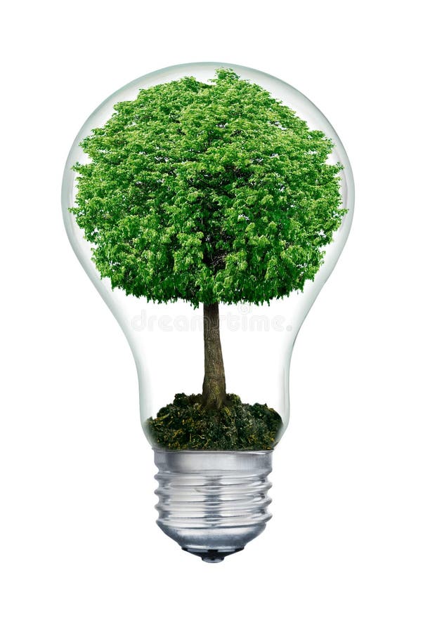 The Tree Inside of the Light Bulb Isolated on White Stock Photo - Image ...