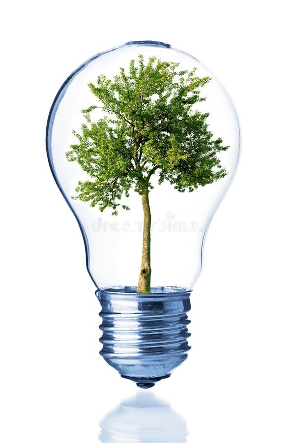 Tree Inside of the Light Bulb Stock Image - Image of plant, ecology ...