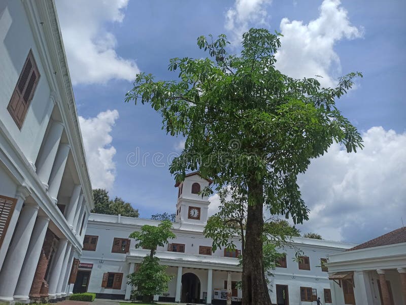 A Tree Inside an Old Fortress in Indonesia Stock Photo - Image of tree ...