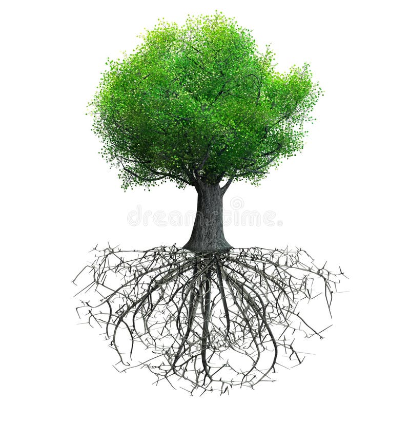 Trees with roots stock vector. Illustration of concept - 7273543