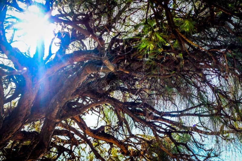 Shadow - he is coming stock photo. Image of hurried, hurry - 778450