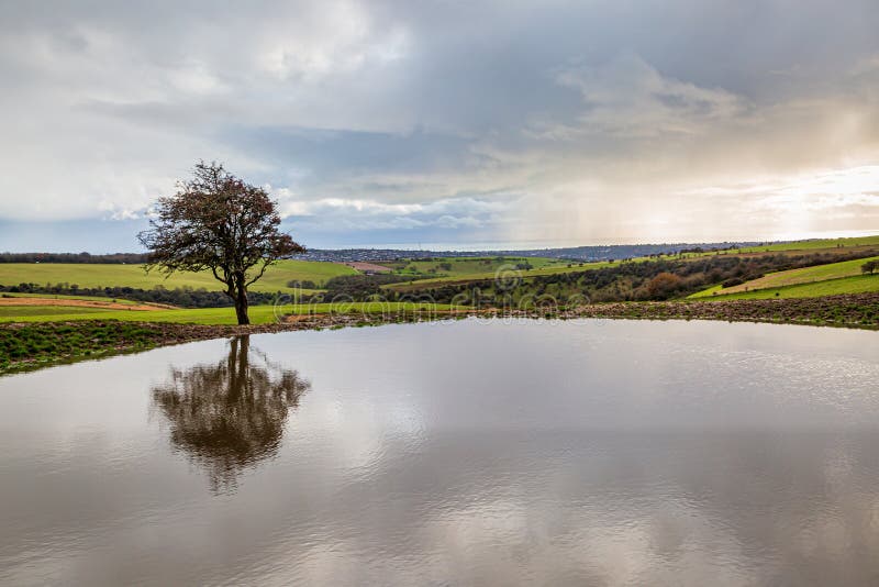 Ditchling Beacon Dew Pond stock photo. Image of scenery - 163889670