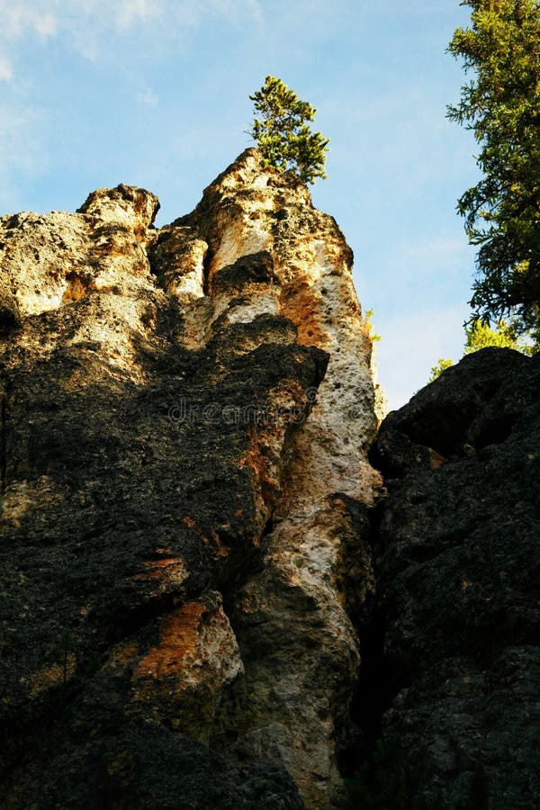 Tree on a jagged cliff stock photo. Image of scenic, boulders - 43696064