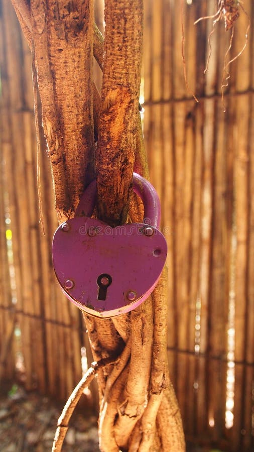 Tree with the key lock stock photo. Image of mass, solid - 39647666