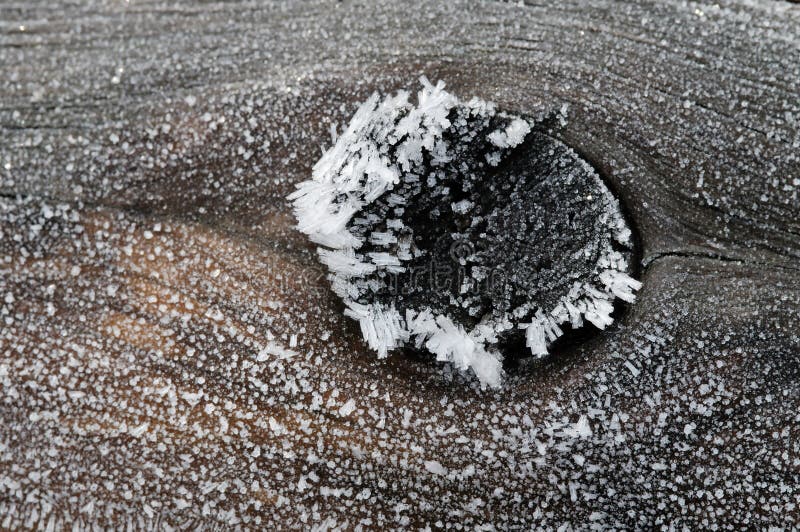 Tree knot stock photo. Image of cold, knot, tree, detail - 13248240