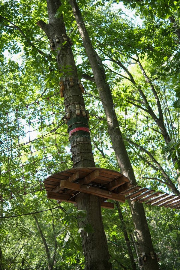 Tree Ladder, Cable Car, Rope Park in the Trees Stock Image - Image of ...