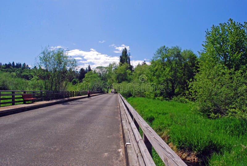Tree Lined Path Under a Bright Blue Sky Stock Photo - Image of highway ...