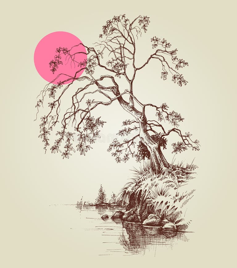 Full Moon Sketch Stock Illustrations – 8,029 Full Moon Sketch Stock ...