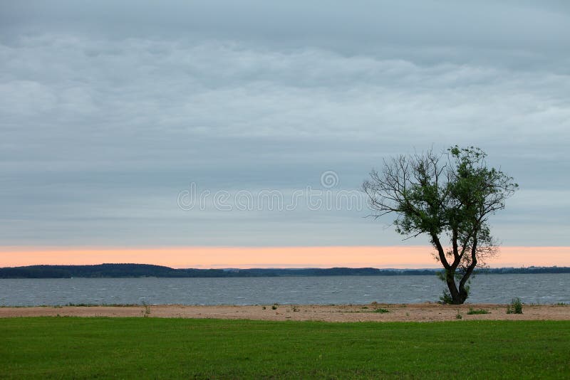 Tree by the Lake at Sunset. Sunset in the Lake. Stock Photo - Image of ...
