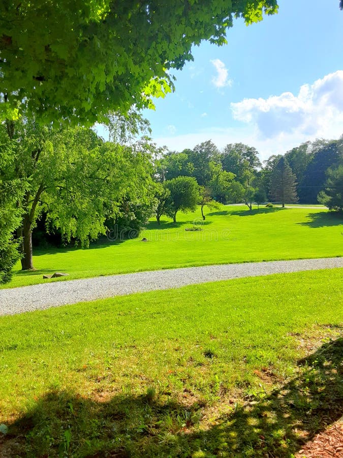 Tree Land Green Life Clouds and Sky Love Everyday Stock Photo - Image ...