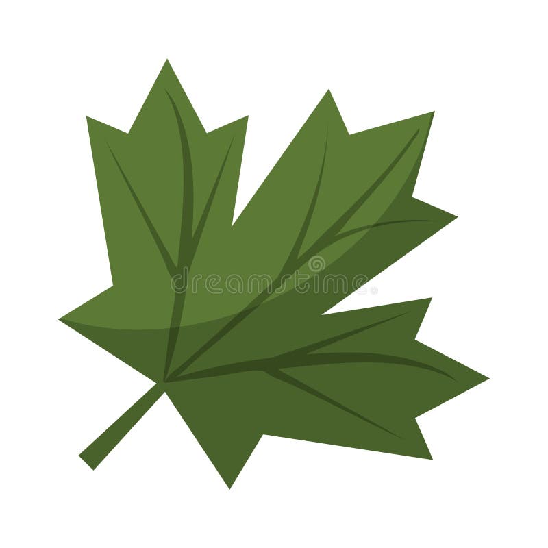 Tree leaf nature symbol stock vector. Illustration of outdoor - 139973616