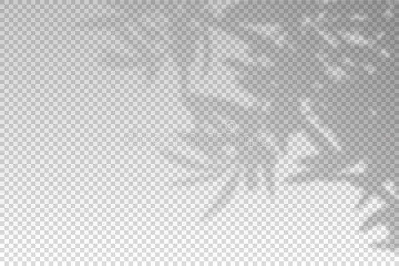 Tree Leaf Shadow. Plant Leaves Overlay Shade. Soft Reflect Light from ...